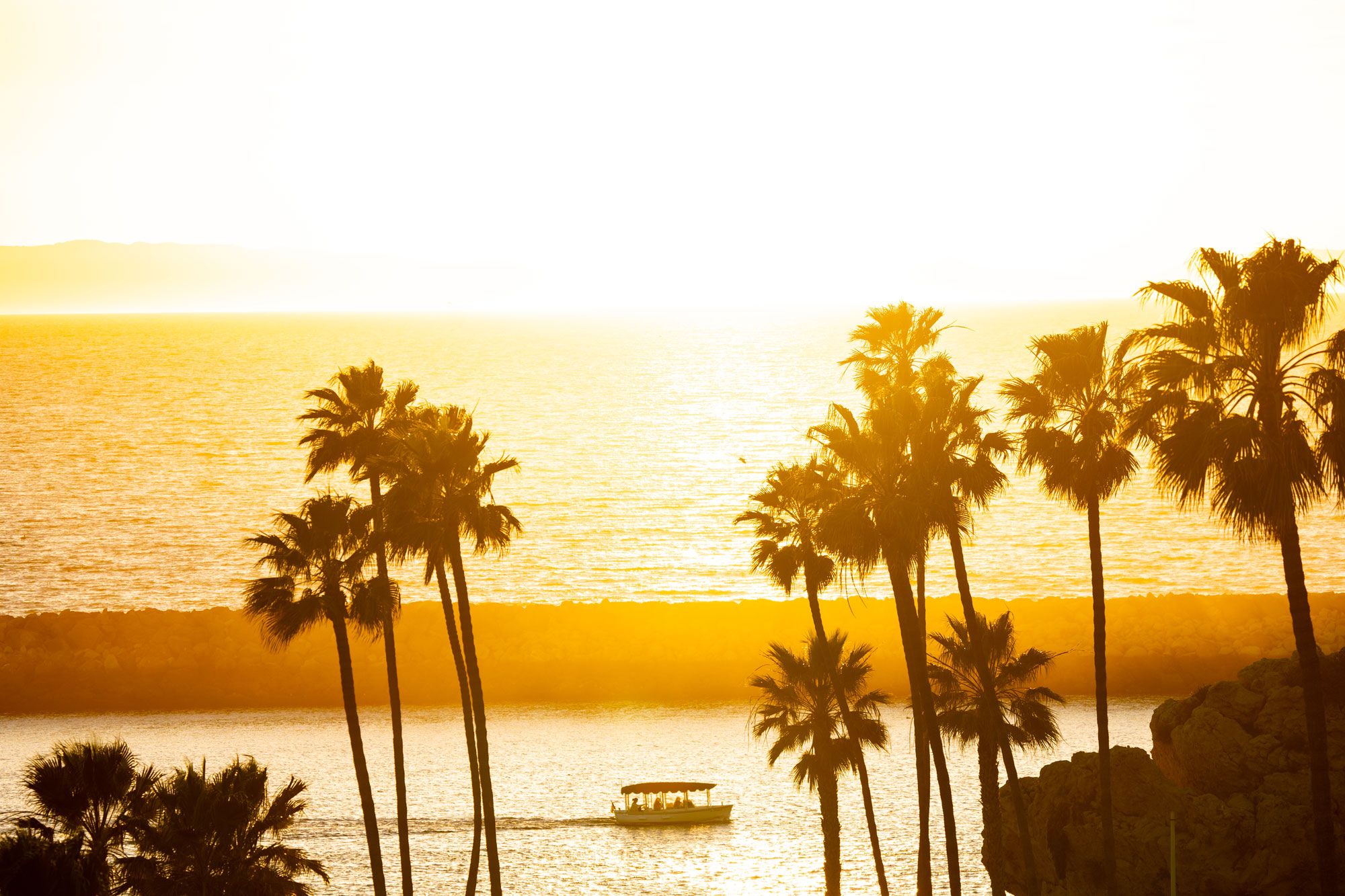 Week 6: Sunset Round-Up | MIDNIGHT SLATE