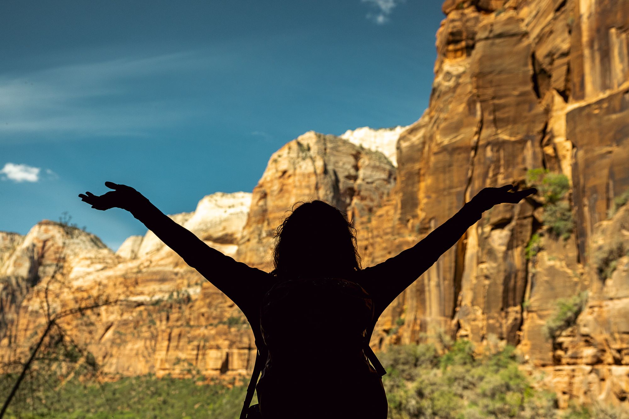 Week 18: "Wonder" Round-Up | MIDNIGHT SLATE